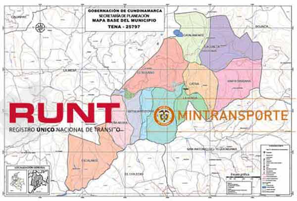 Runt en Tenjo - Cundinamarca | Todos los Datos 【 2023